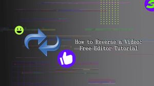 How to Reverse a Video: Free Editor Tutorial